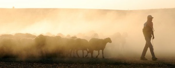 Guiding the Lectio Divina Process - Soul Shepherding