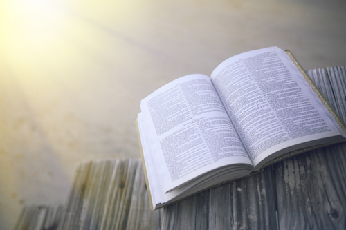 Digging Deeper in God’s Word - Soul Shepherding Digging Deeper in God’s Word - Soul Shepherding