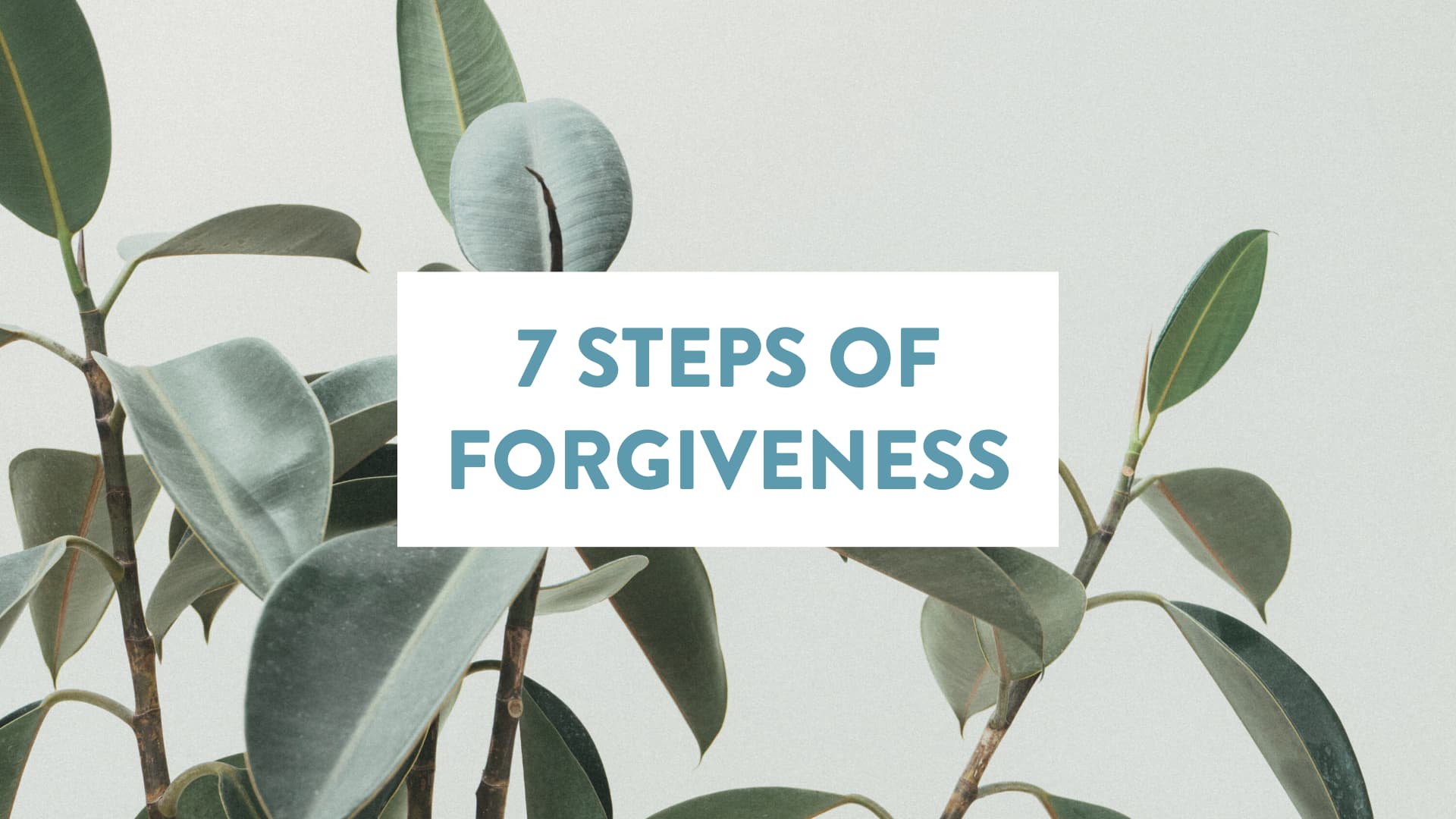 7 Steps of Forgiveness - Soul Shepherding
