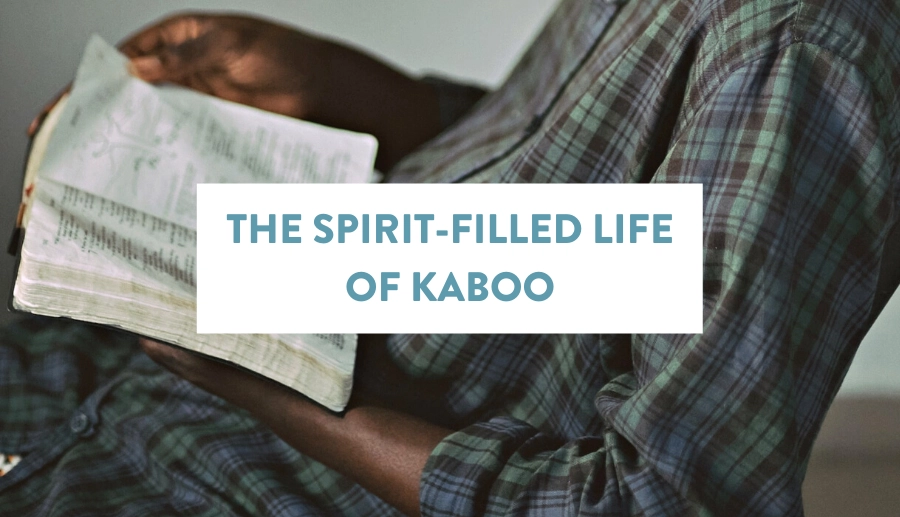The Spirit-Filled Life of Kaboo - Soul Shepherding