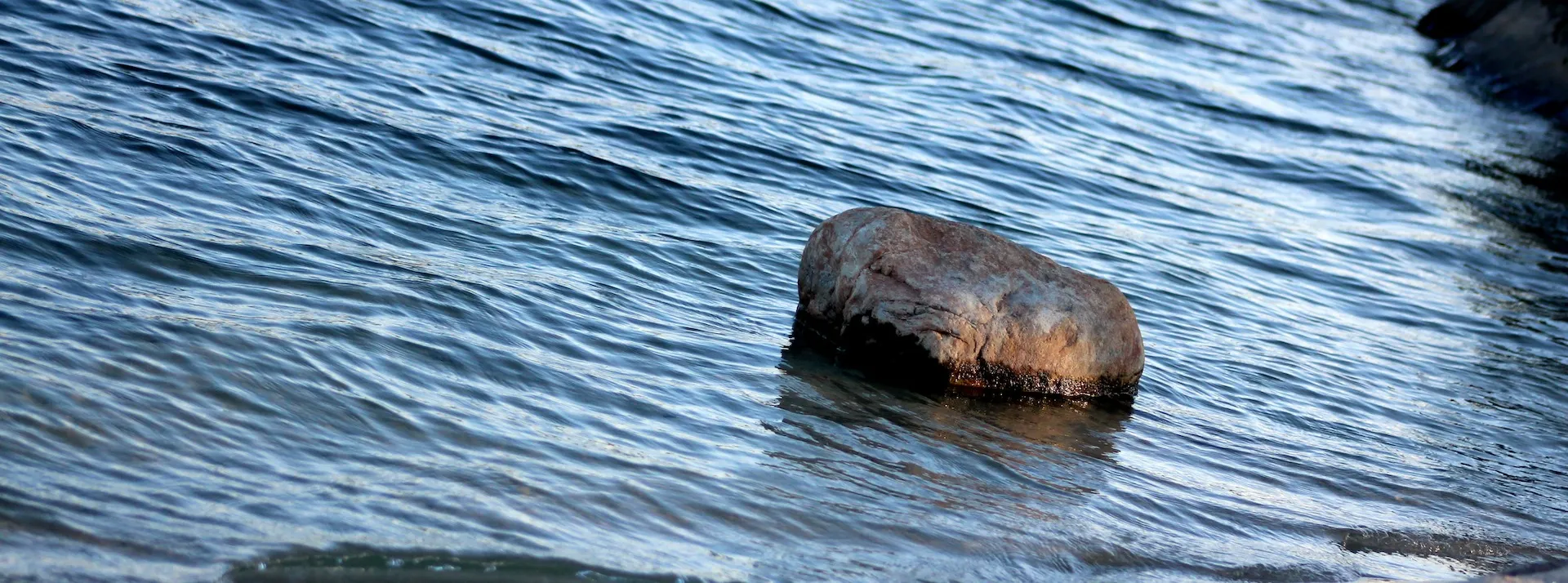 Leading from Liminal Space - Soul Shepherding